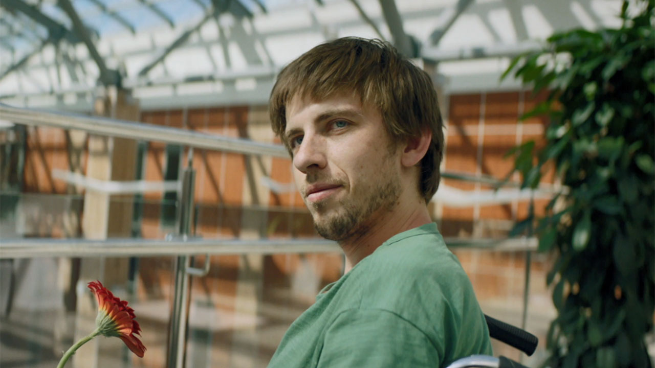 Современные русские комедийные сериалы (ТНТ, Premier, СТС).